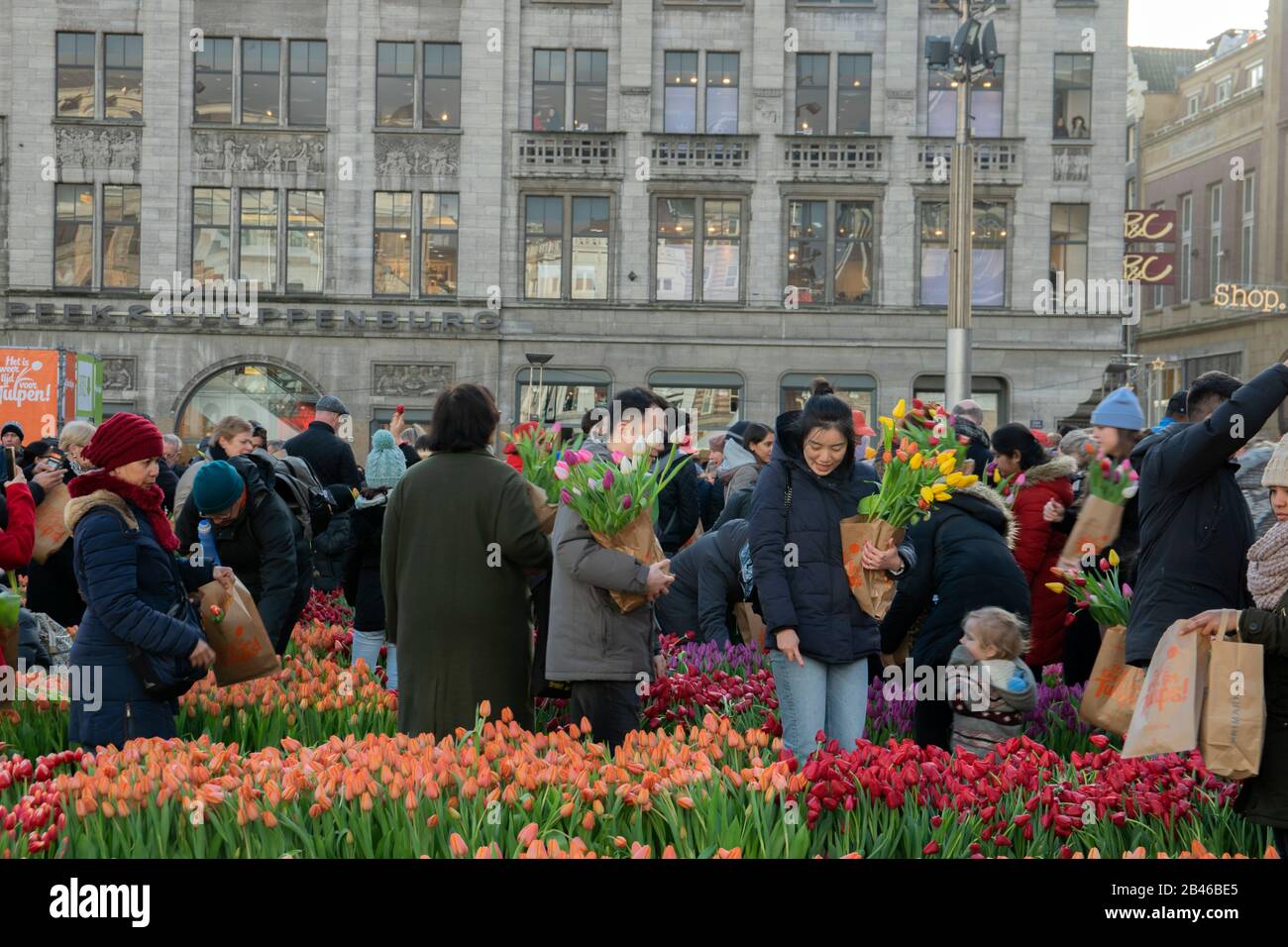 Flower Beds At The National Tulip Day At Amsterdam The Netherlands 2020 ...