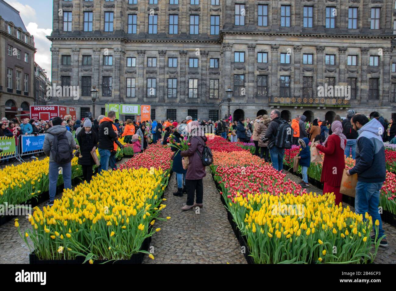 Flower Beds At The National Tulip Day At Amsterdam The Netherlands 2020 ...