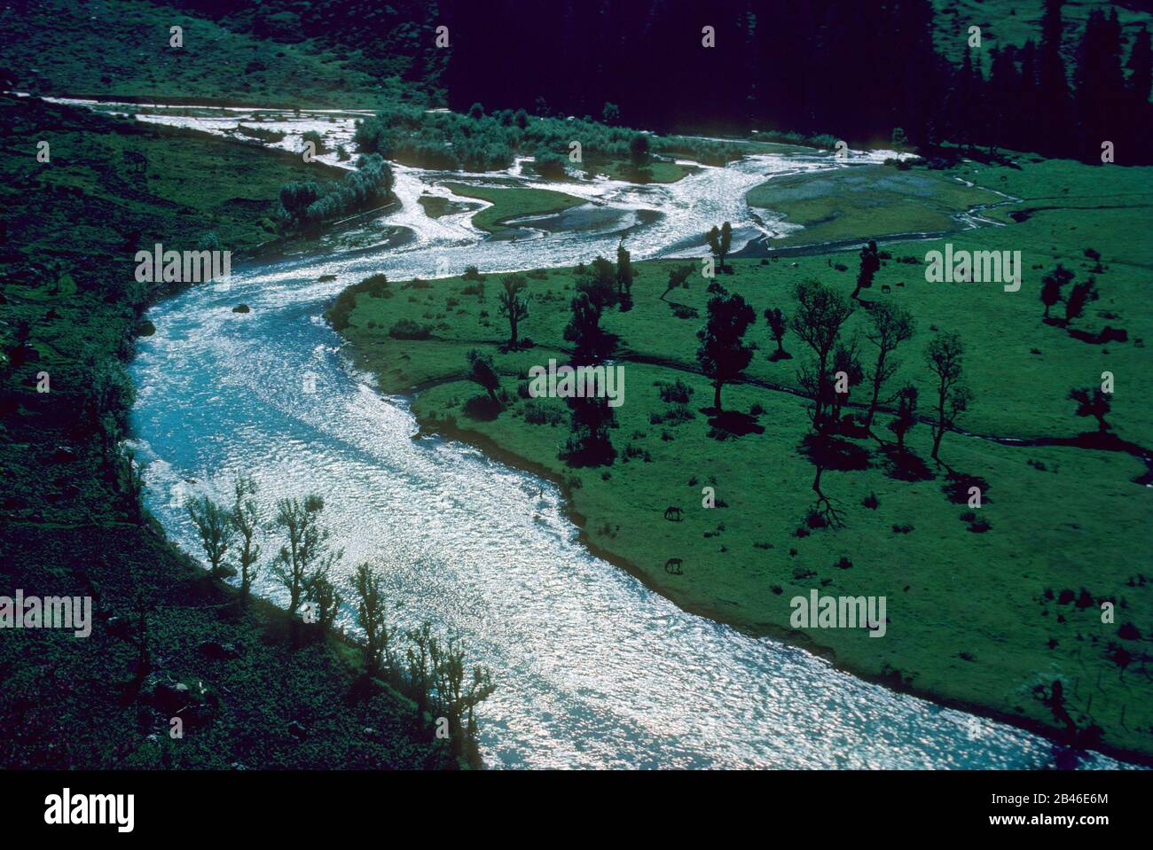 sheshnag river in pahalgam at jammu and kashmir India, Asia Stock Photo ...