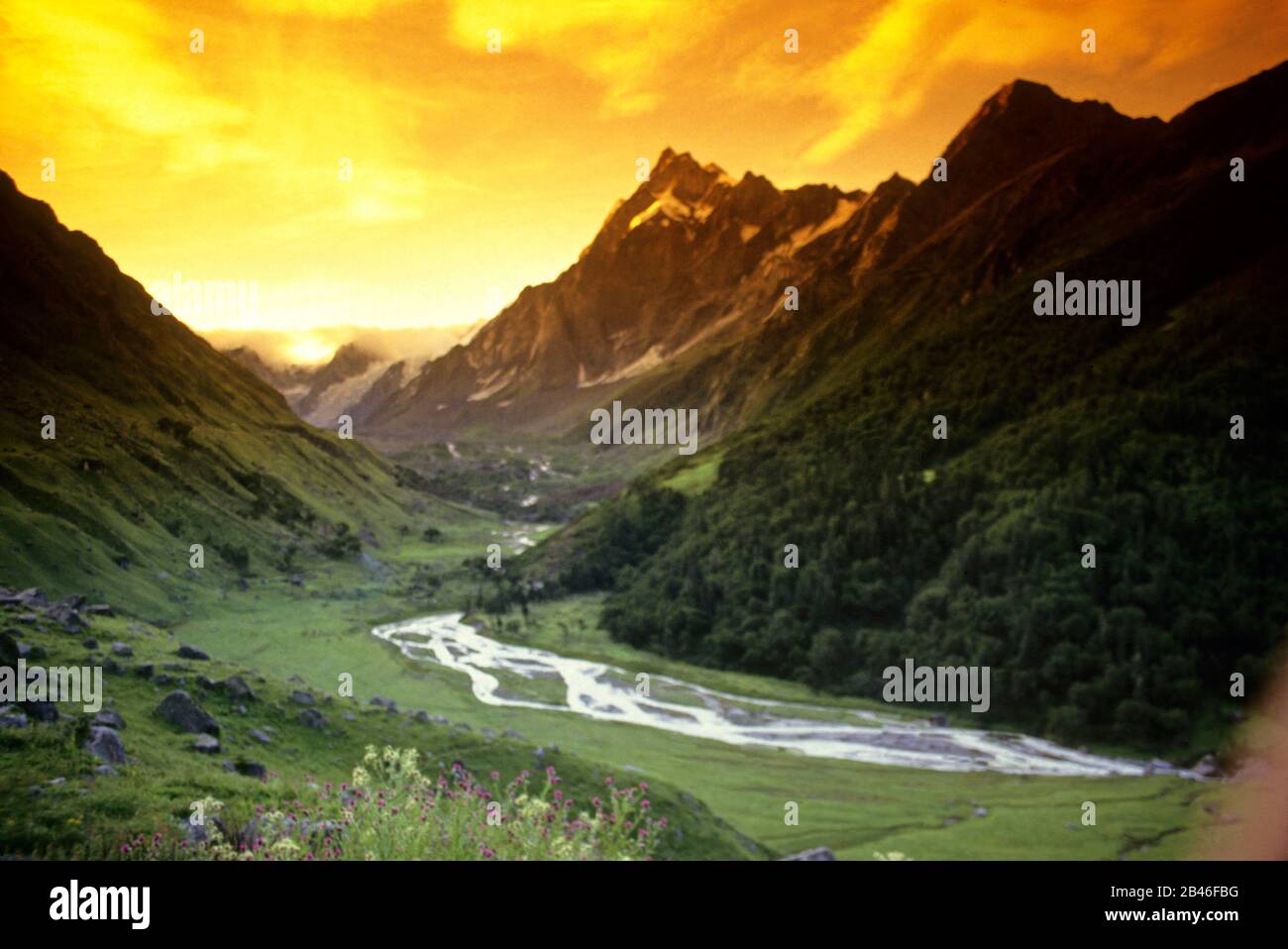 swarga rohini himachal pradesh India, Asia Stock Photo - Alamy