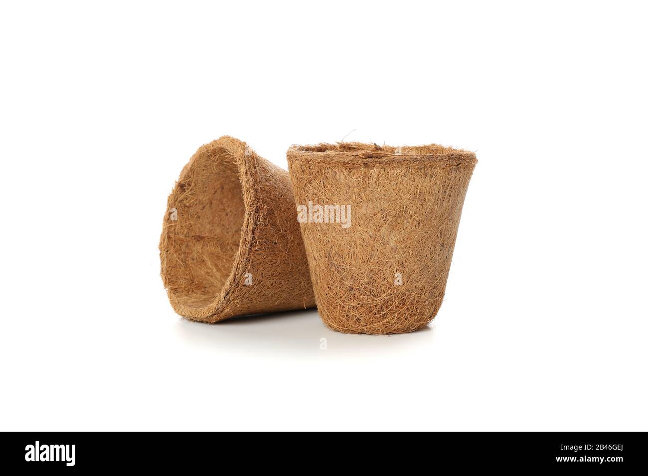 Two flower pots isolated on white background Stock Photo - Alamy