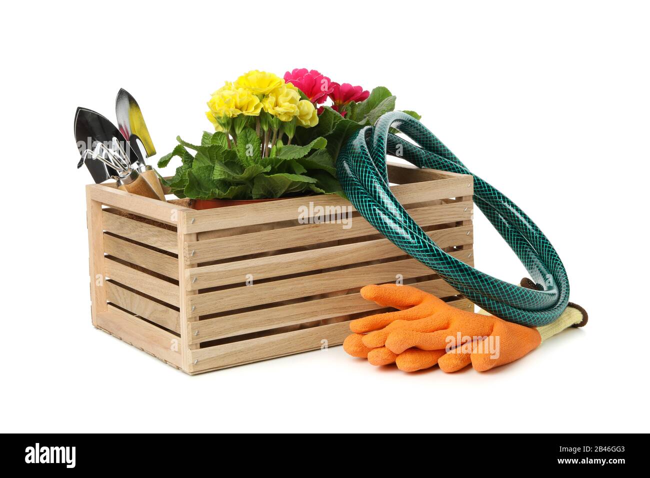 Wooden box, gardening tools and flowers isolated on white background ...