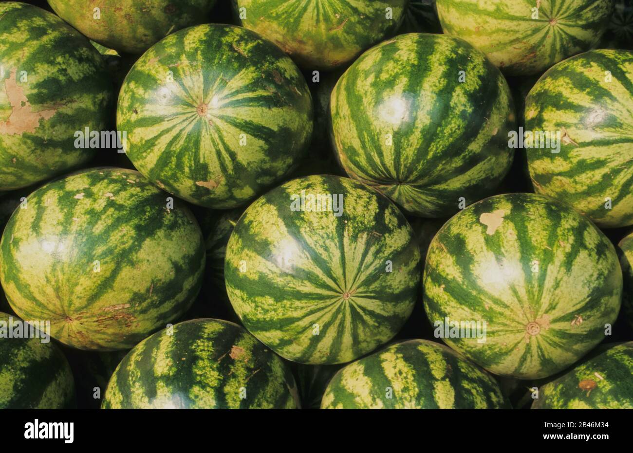 Fruits - Watermelons Stock Photo - Alamy
