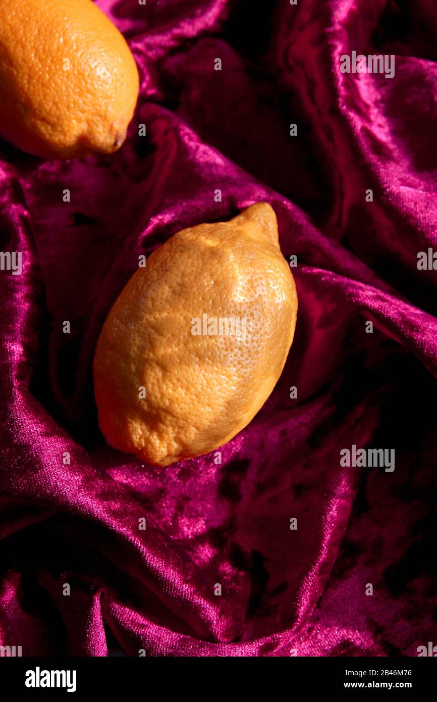 Summer fresh fruit still life. Juicy yellow lemons on purple velvet ...