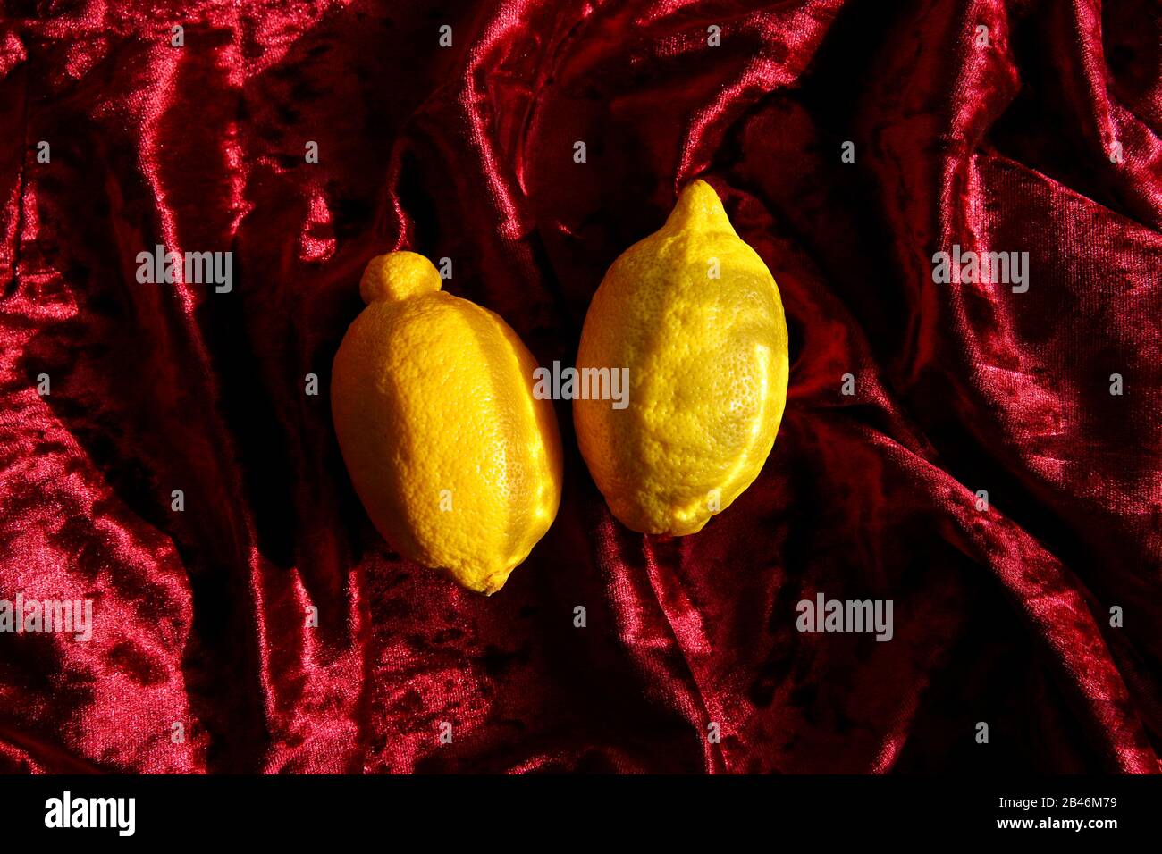 Summer fresh fruit still life. Juicy yellow lemons on red velvet ...