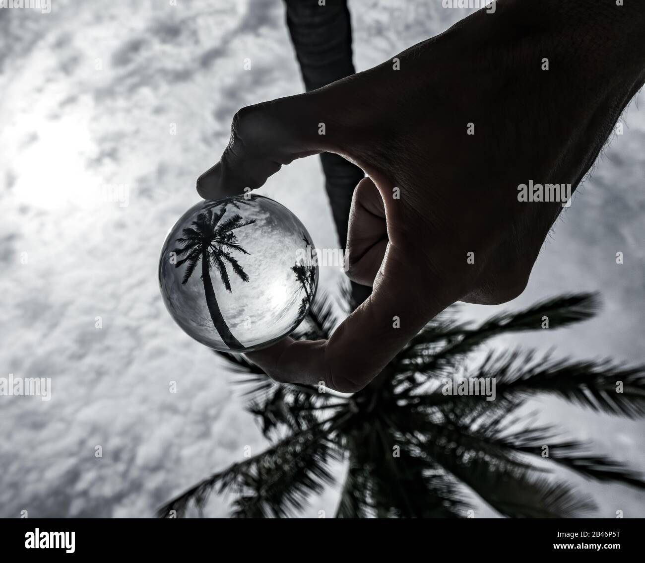 Hand holding crystal ball with palm tree Stock Photo - Alamy