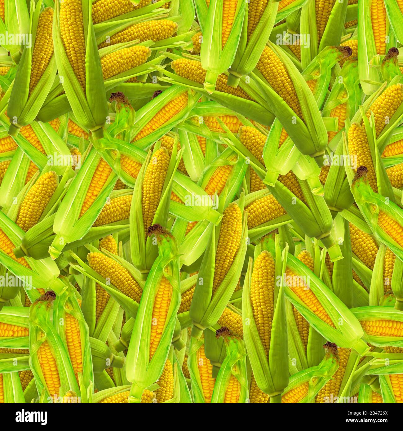 Corn Seamless Texture Tile Stock Photo - Alamy