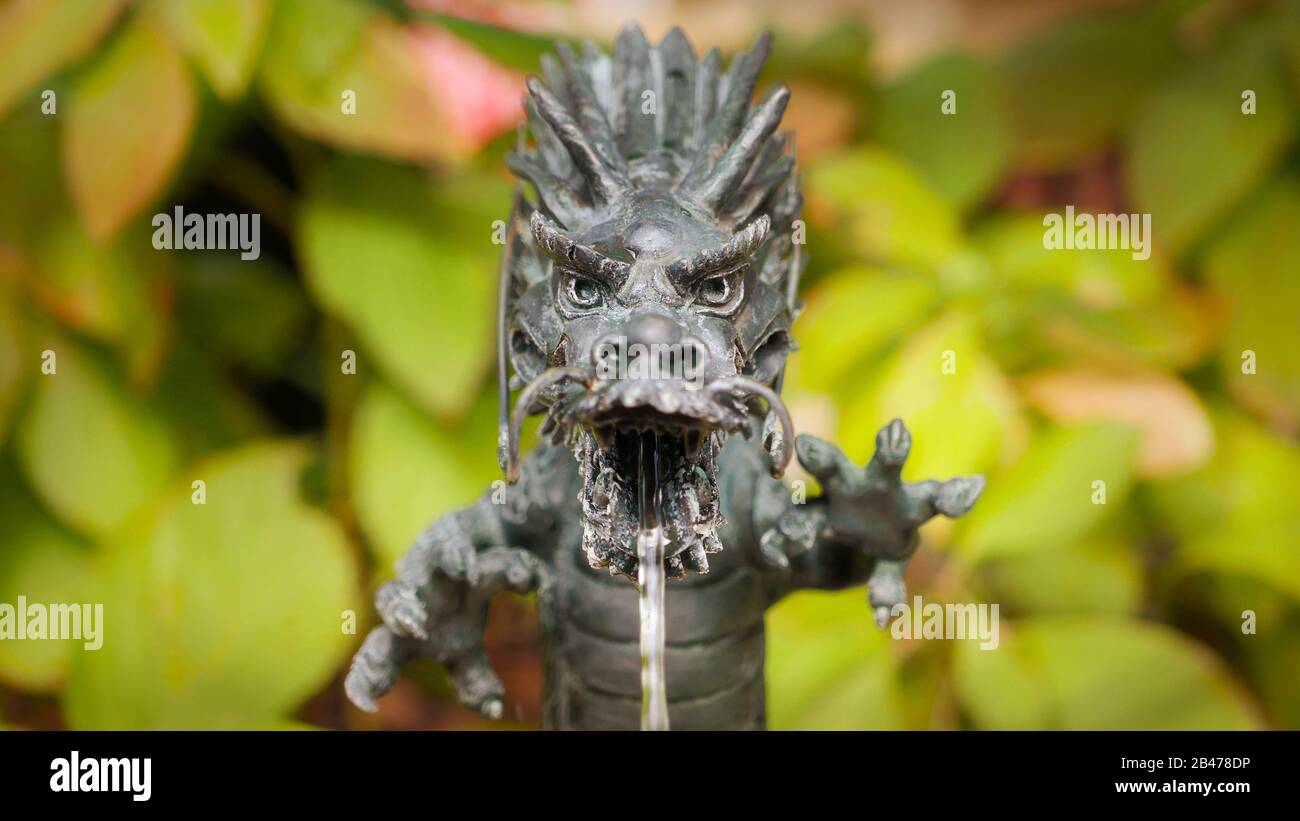 A dragon fountain at the entrace of shinto shrine Stock Photo - Alamy