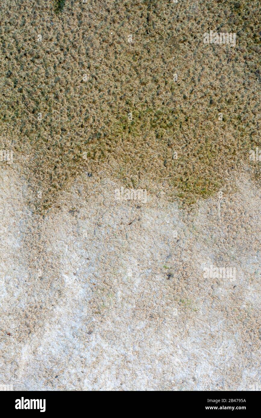 Sand texture after a summer rain Stock Photo - Alamy