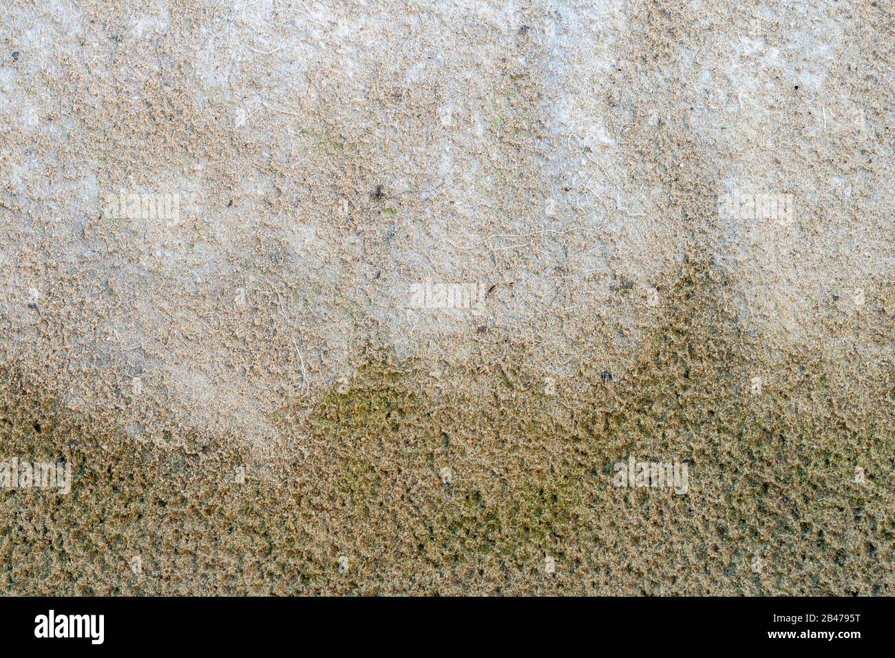 Sand texture after a summer rain Stock Photo - Alamy