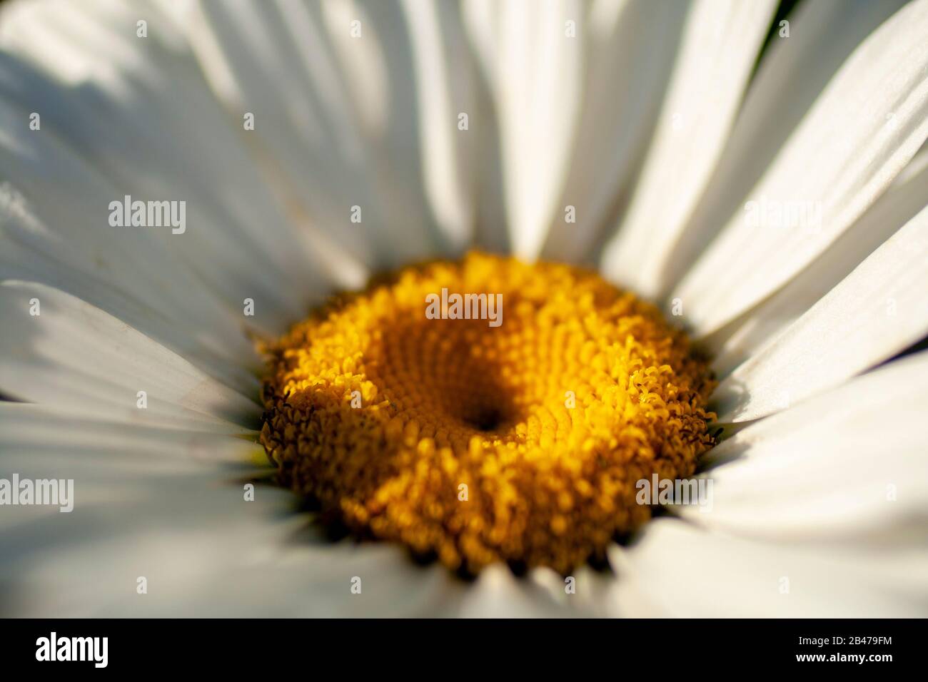 Dox symbol hi-res stock photography and images - Alamy