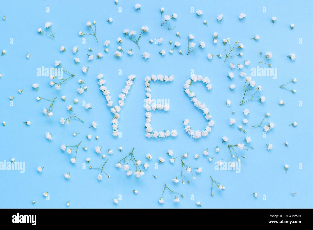 Word YES made of white flowers on a light blue background top view ...