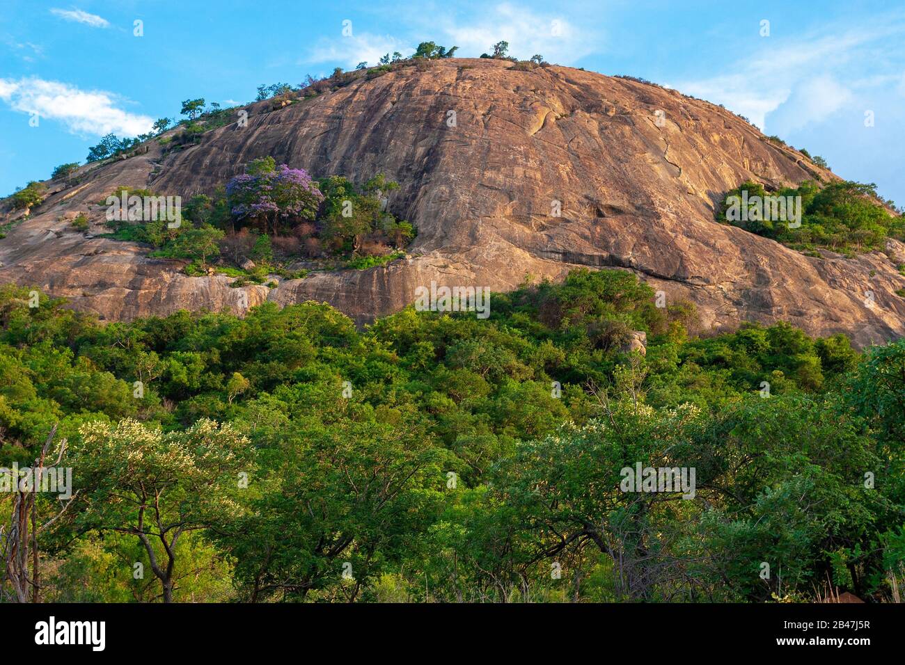 African landscape ofrocks and the forest, South Africa Stock Photo - Alamy