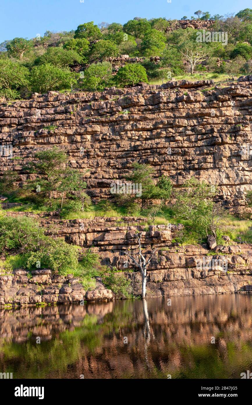 Forest south africa hi-res stock photography and images - Alamy