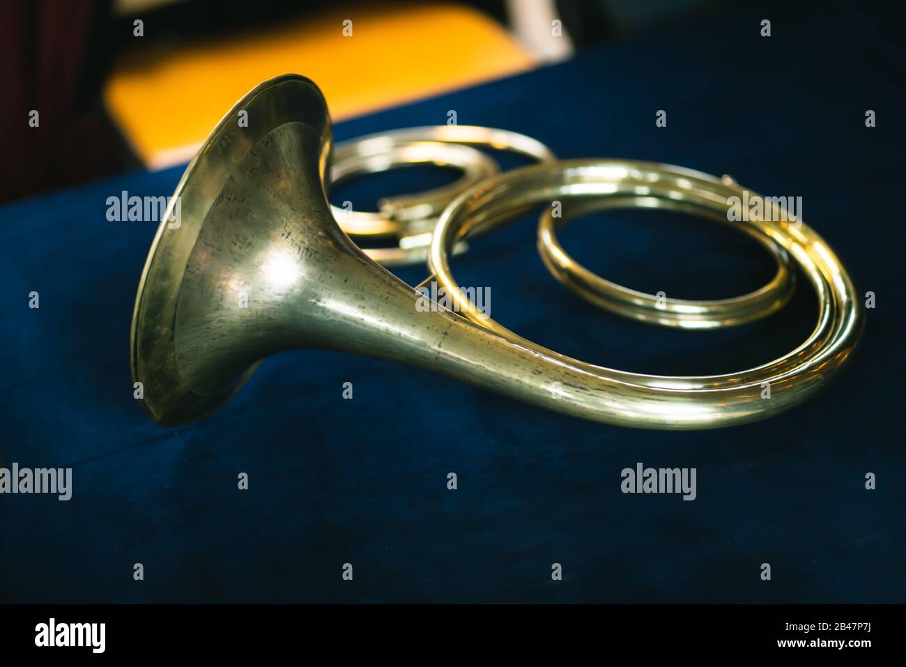 Natural horn hi-res stock photography and images - Alamy
