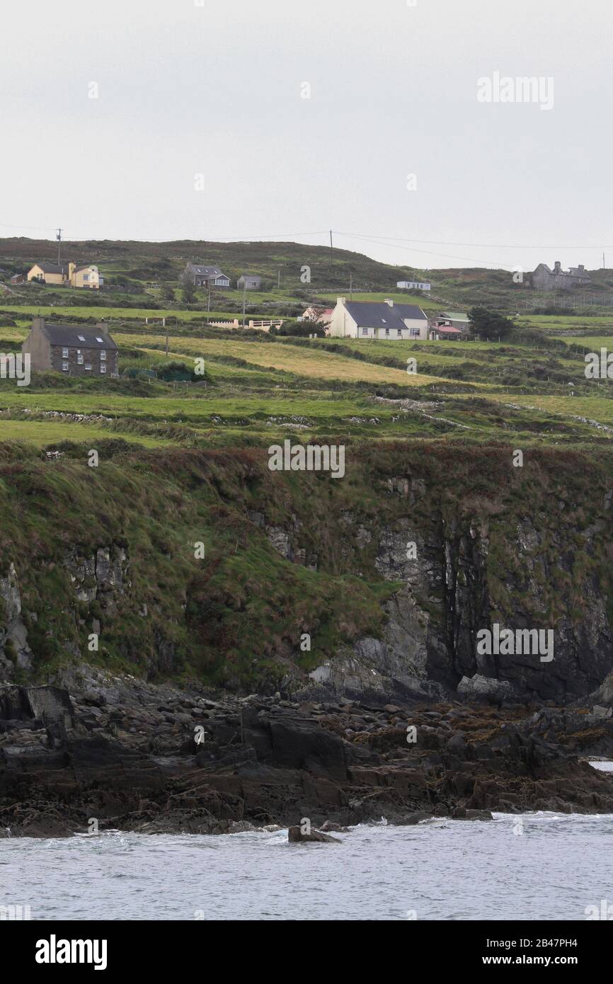 Irish homes and farmland above island sea cliff on Cape Clear Island in ...