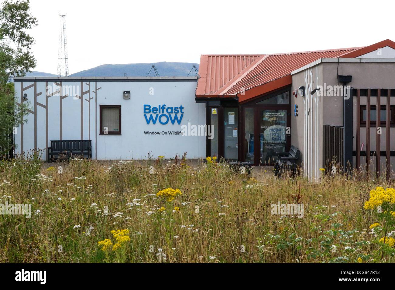 Wildlife visitor centre belfast hi-res stock photography and images - Alamy