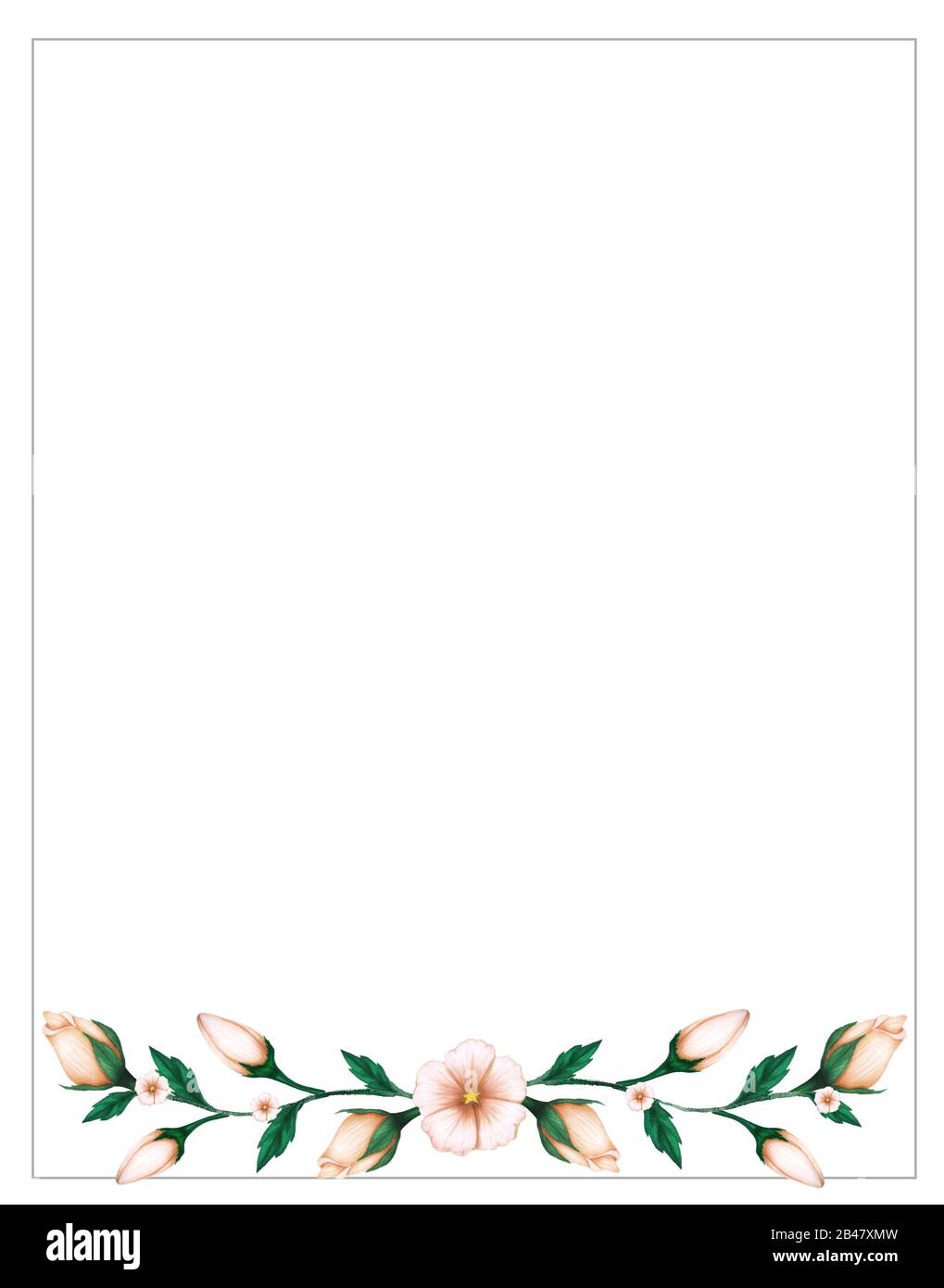 .Frame of hand drawing beige buds and green leaves on white background ...