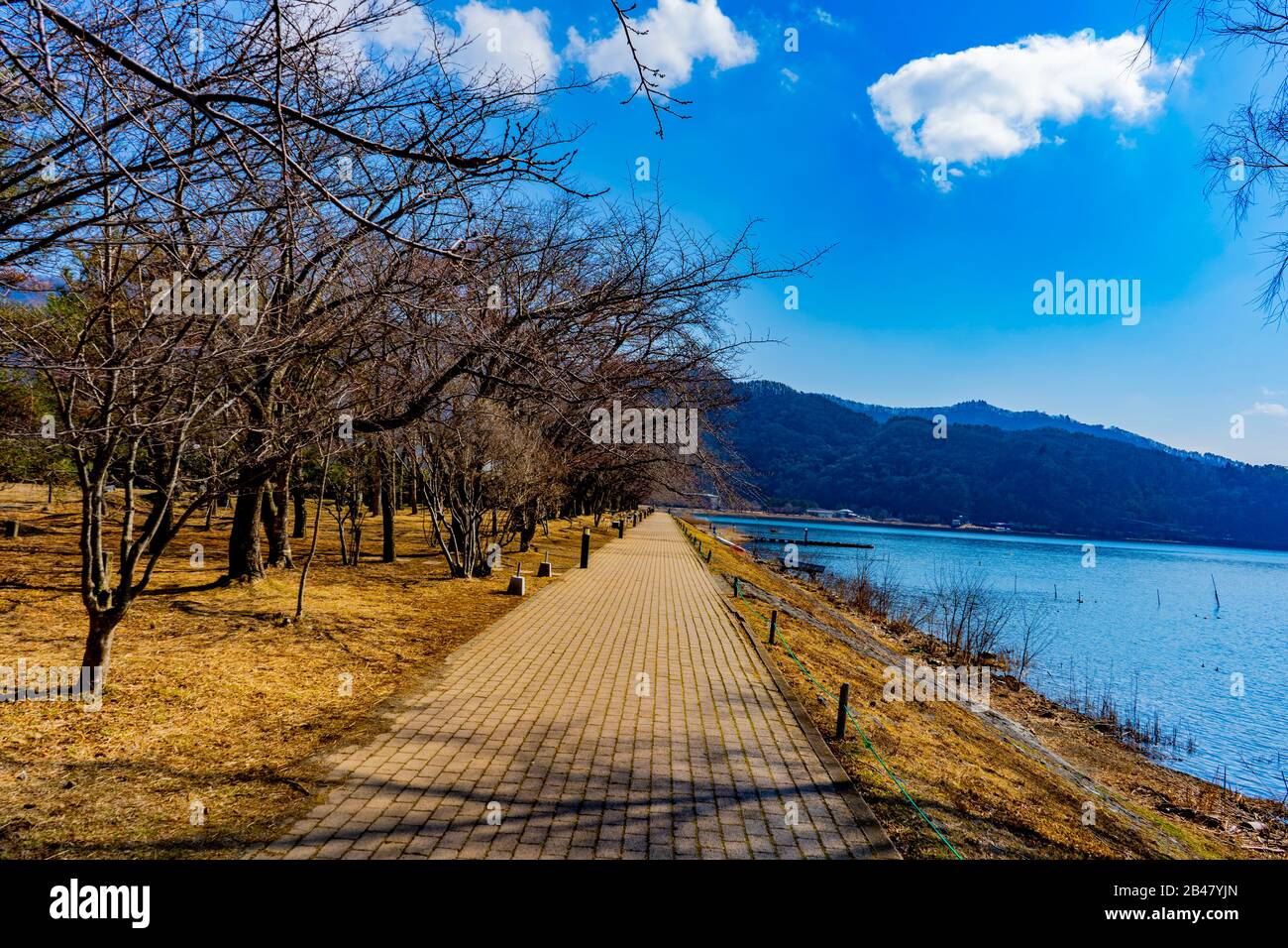 Sky walkway hi-res stock photography and images - Alamy