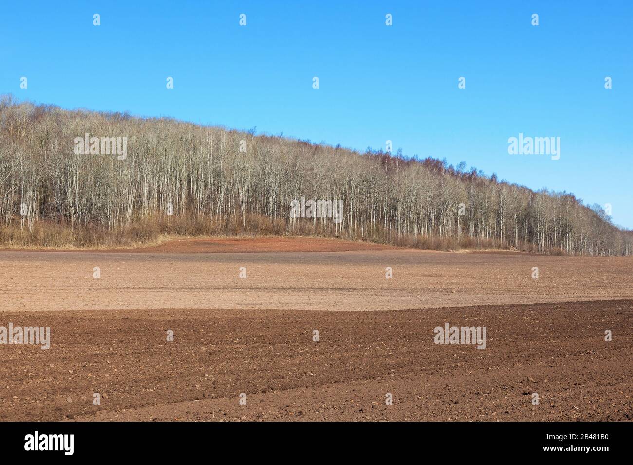 Harrowed field hi-res stock photography and images - Alamy