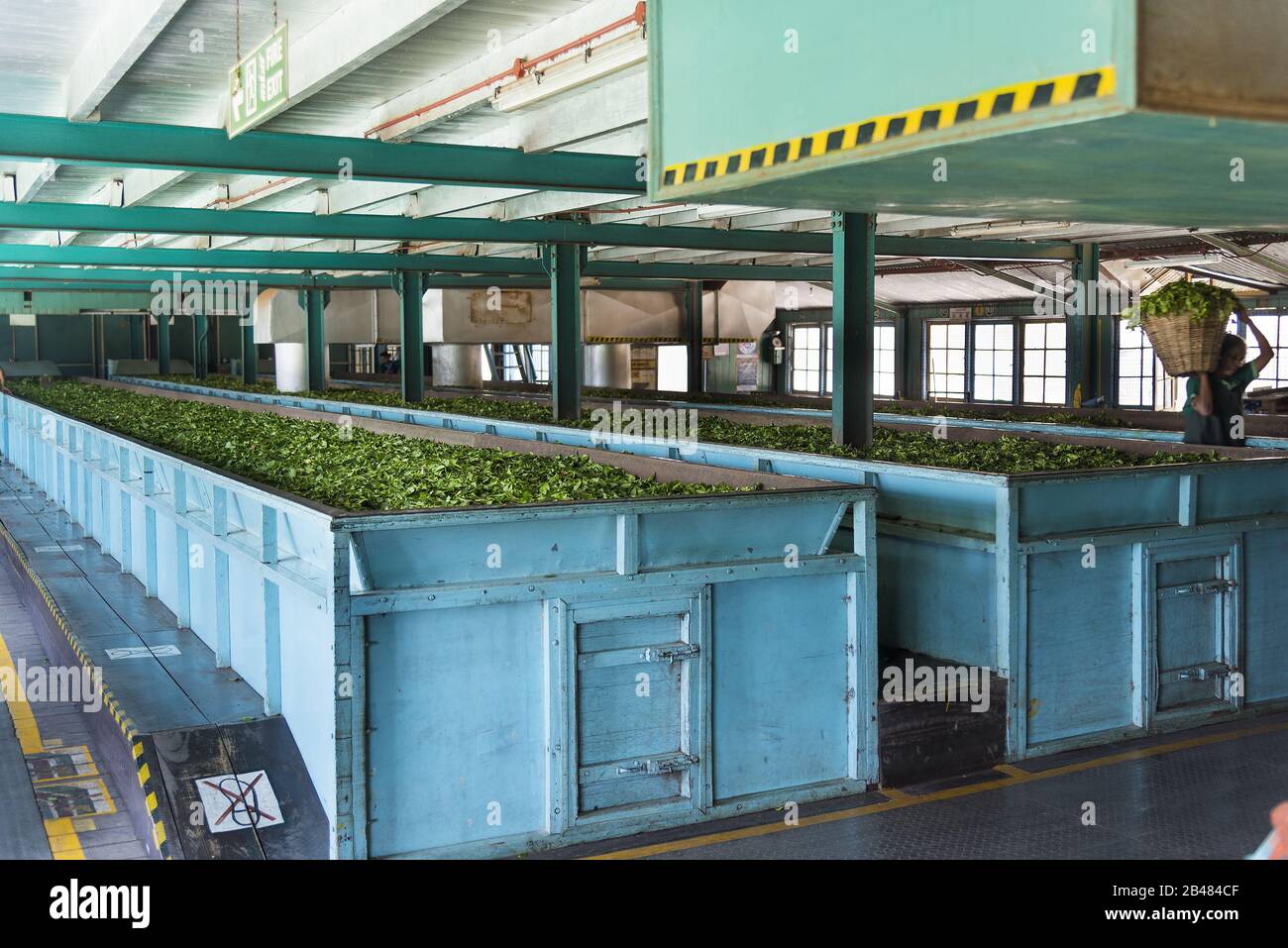 Nuwara, Sri Lanka: 03/20/2019: Glen Loch tea plantation factory ...