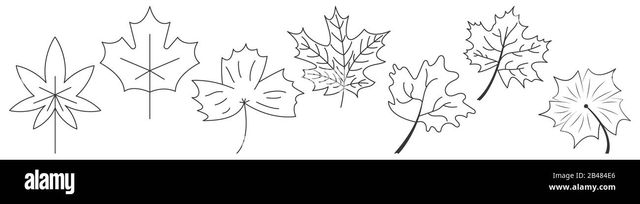 Set of Leaves in thin line style. Linear leaves icons. Outline leaves ...