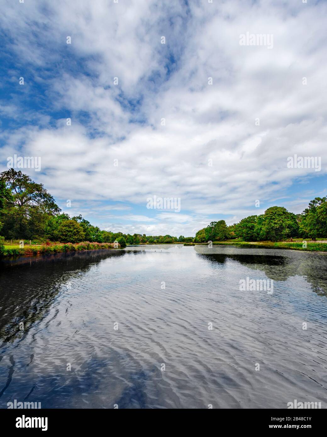 norfolk lake with blue sky and reflection Stock Photo - Alamy