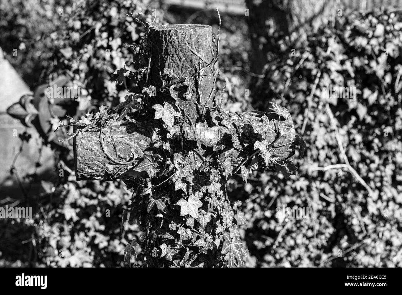 Sunshine outdoors Black and White Stock Photos & Images - Alamy