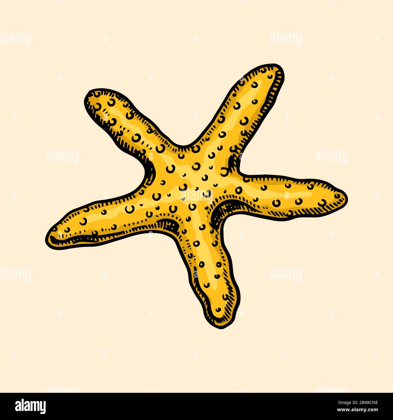 Starfish Vector Vintage