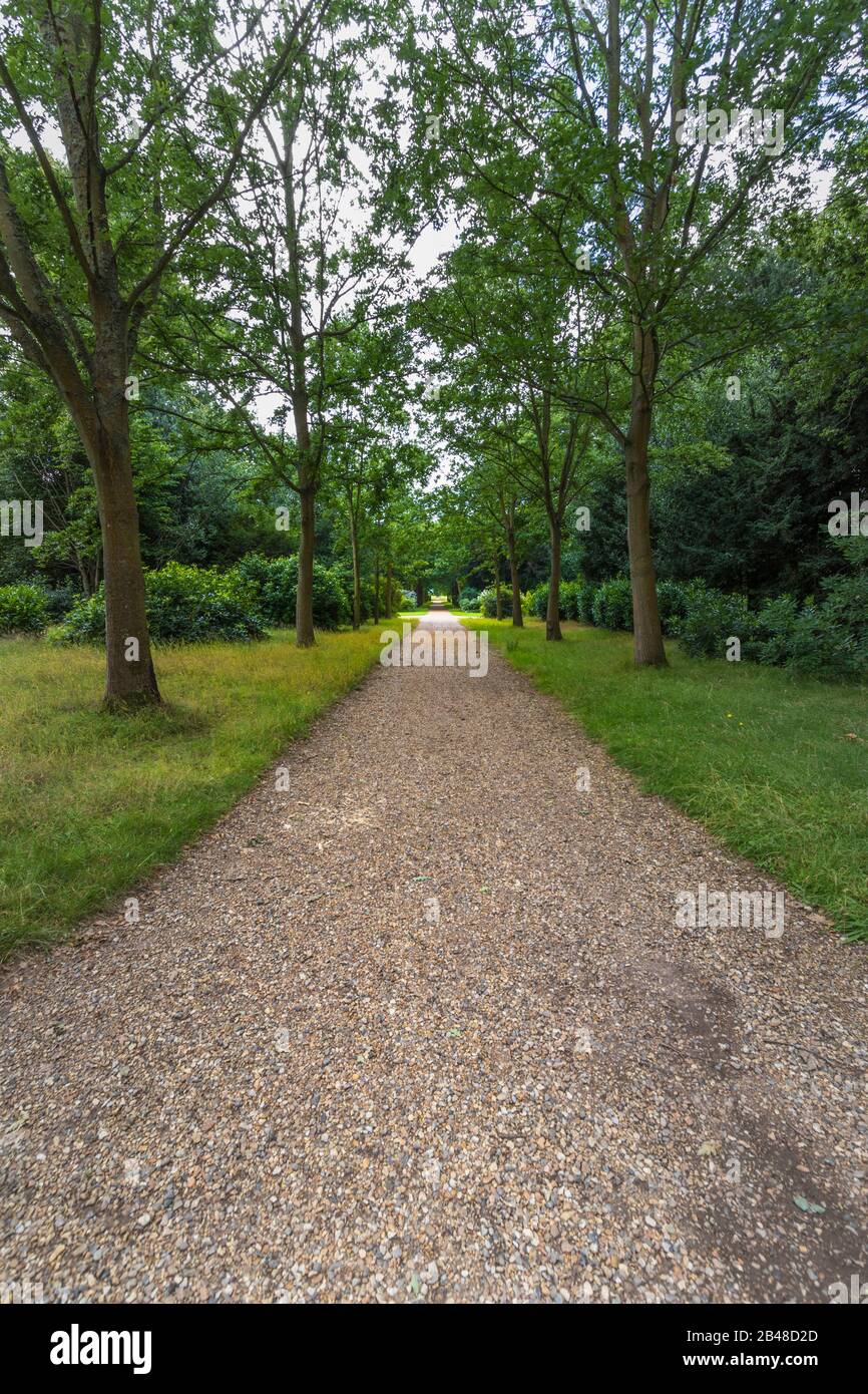 Walk to woods hi-res stock photography and images - Alamy