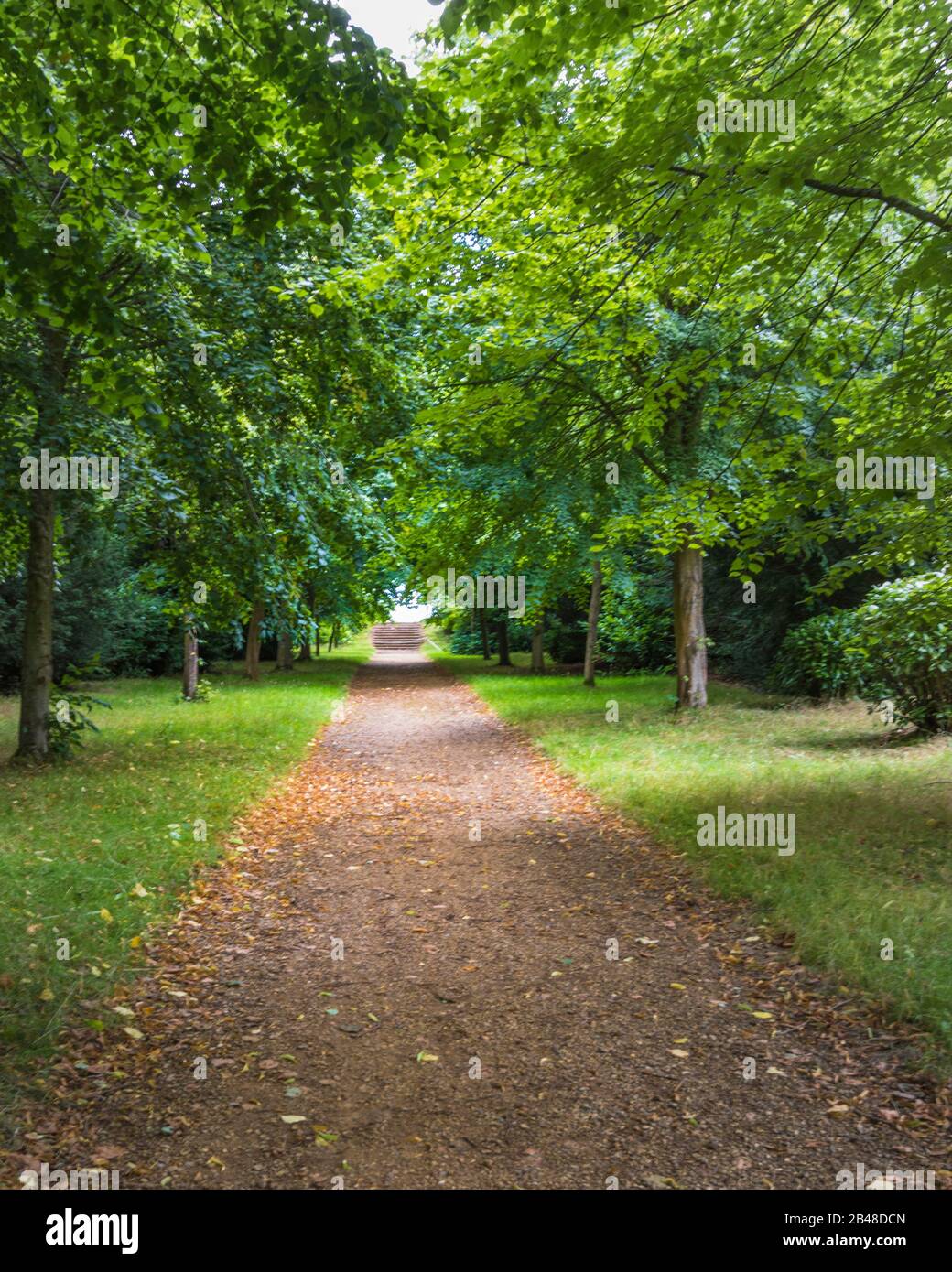 path walk in the trees Stock Photo - Alamy