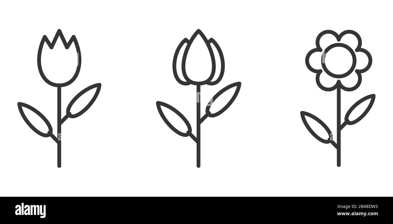 Outline flower icons set. Isolated flowers linear icons. Black vector ...