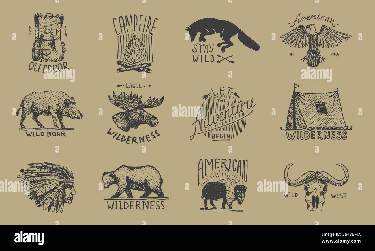 Set of camping labels or badges. Hiking or hunting emblems and outdoor ...