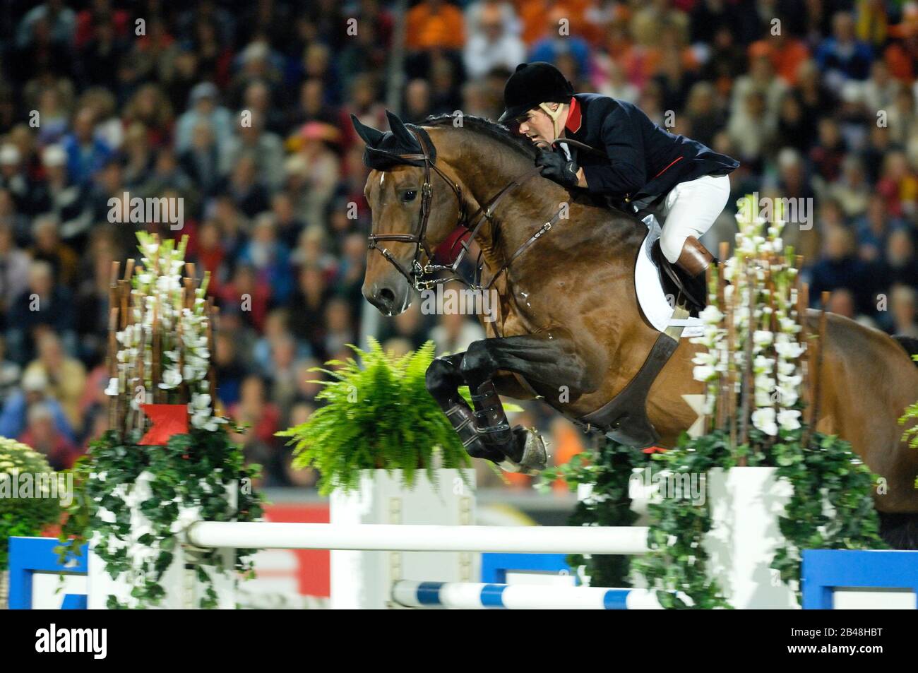 John whitaker horse hi-res stock photography and images - Alamy