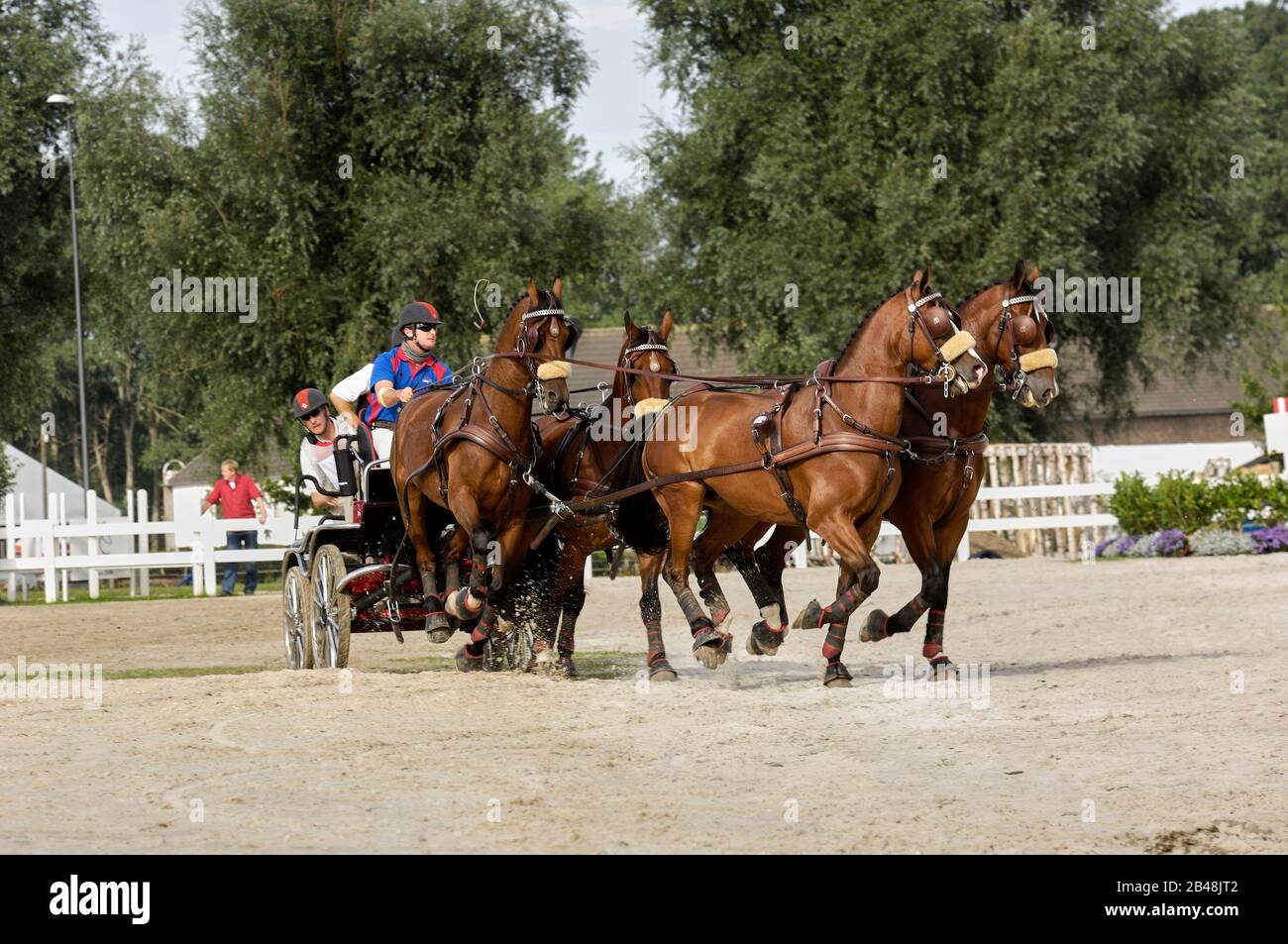 Chester C Weber (USA), , World Equestrian Games, Aachen, 31 August 2006 ...