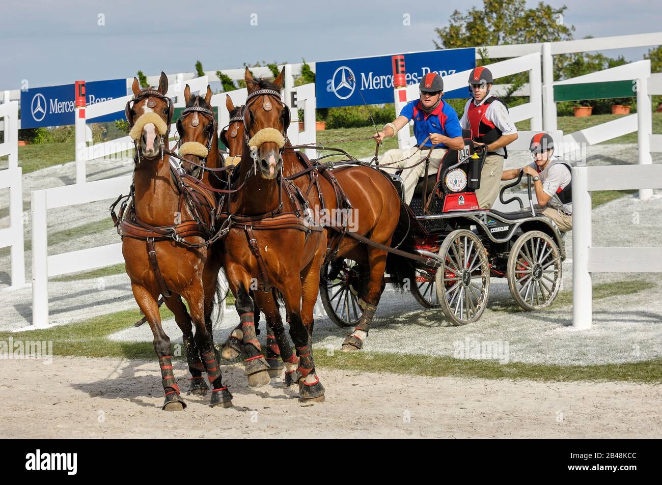 Four in hand horse driving marathon hi-res stock photography and images ...
