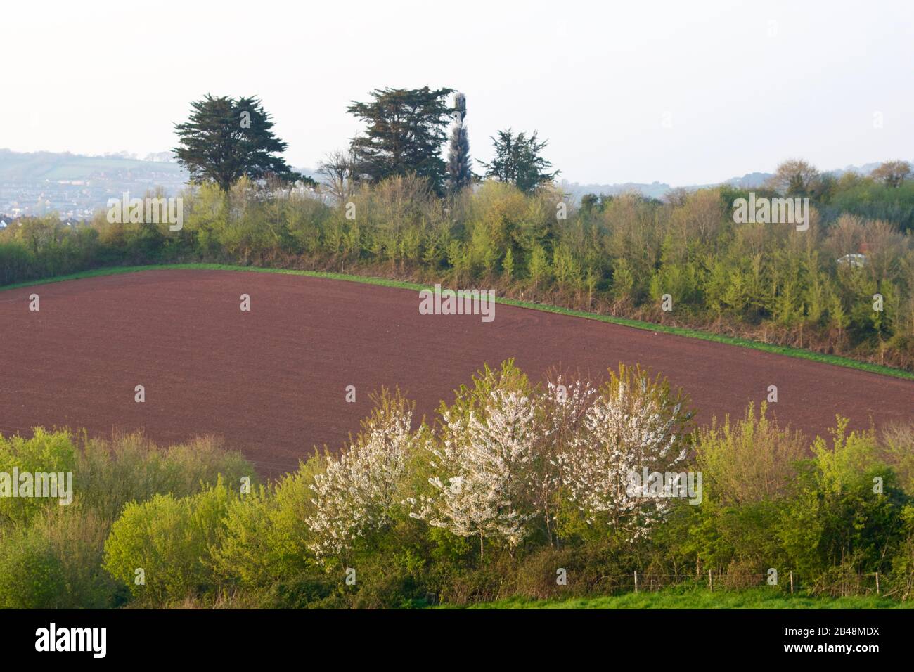 Agroecosystem hi-res stock photography and images - Alamy