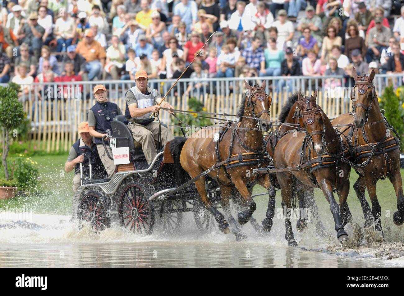 Thomas Eriksson (SWE), World Equestrian Games, Aachen, 31 August 2006 ...