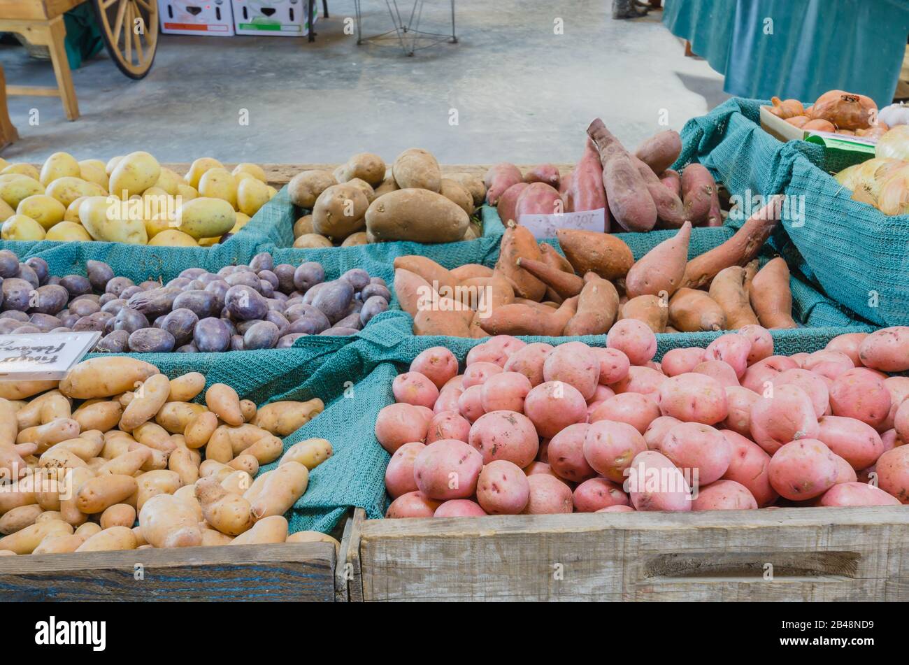 Pile of potatoes, sweet potatoes at market stand in Puyallup ...