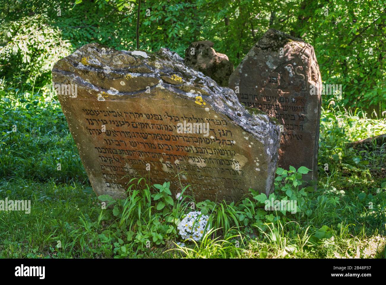 Tombstones at Jewish cemetery in Rymanow, Malopolska, Poland Stock ...