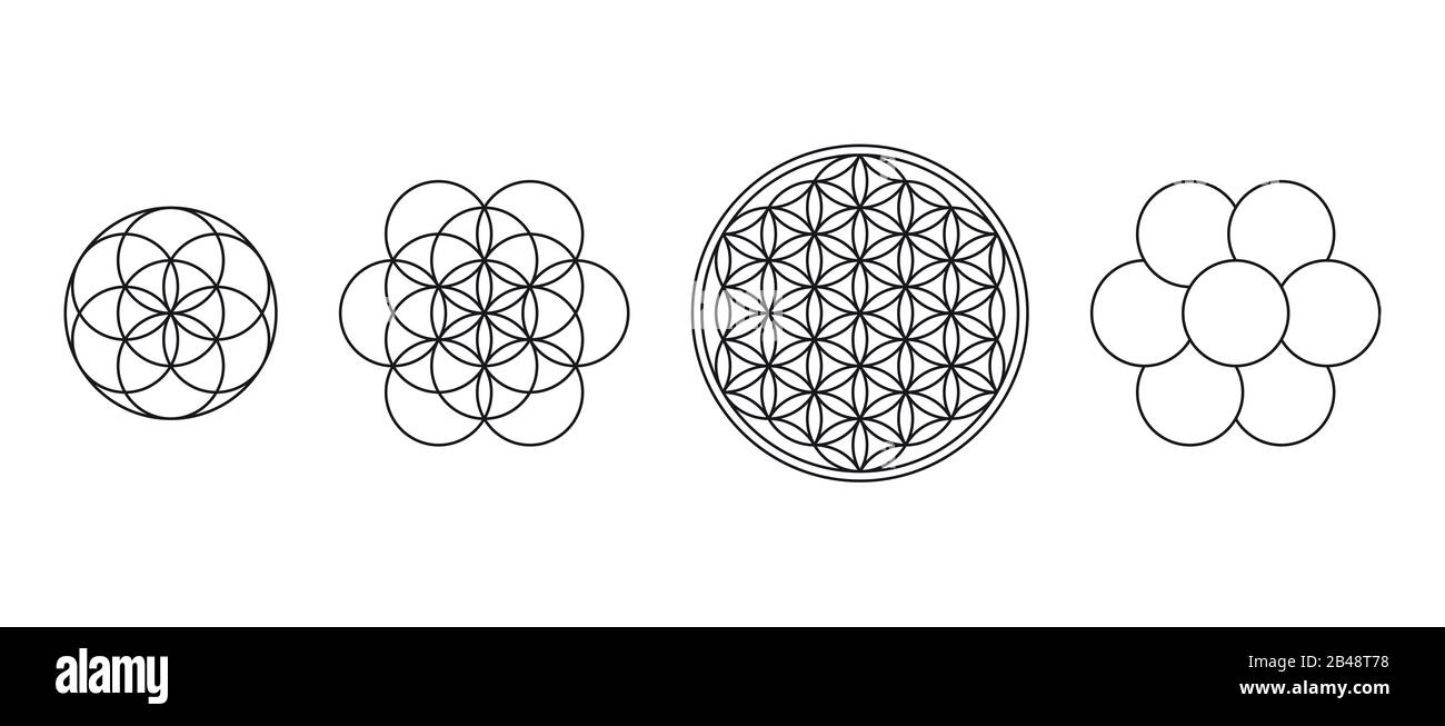 Flower of Life, Seed and Egg of Life. Geometric figures, spiritual ...