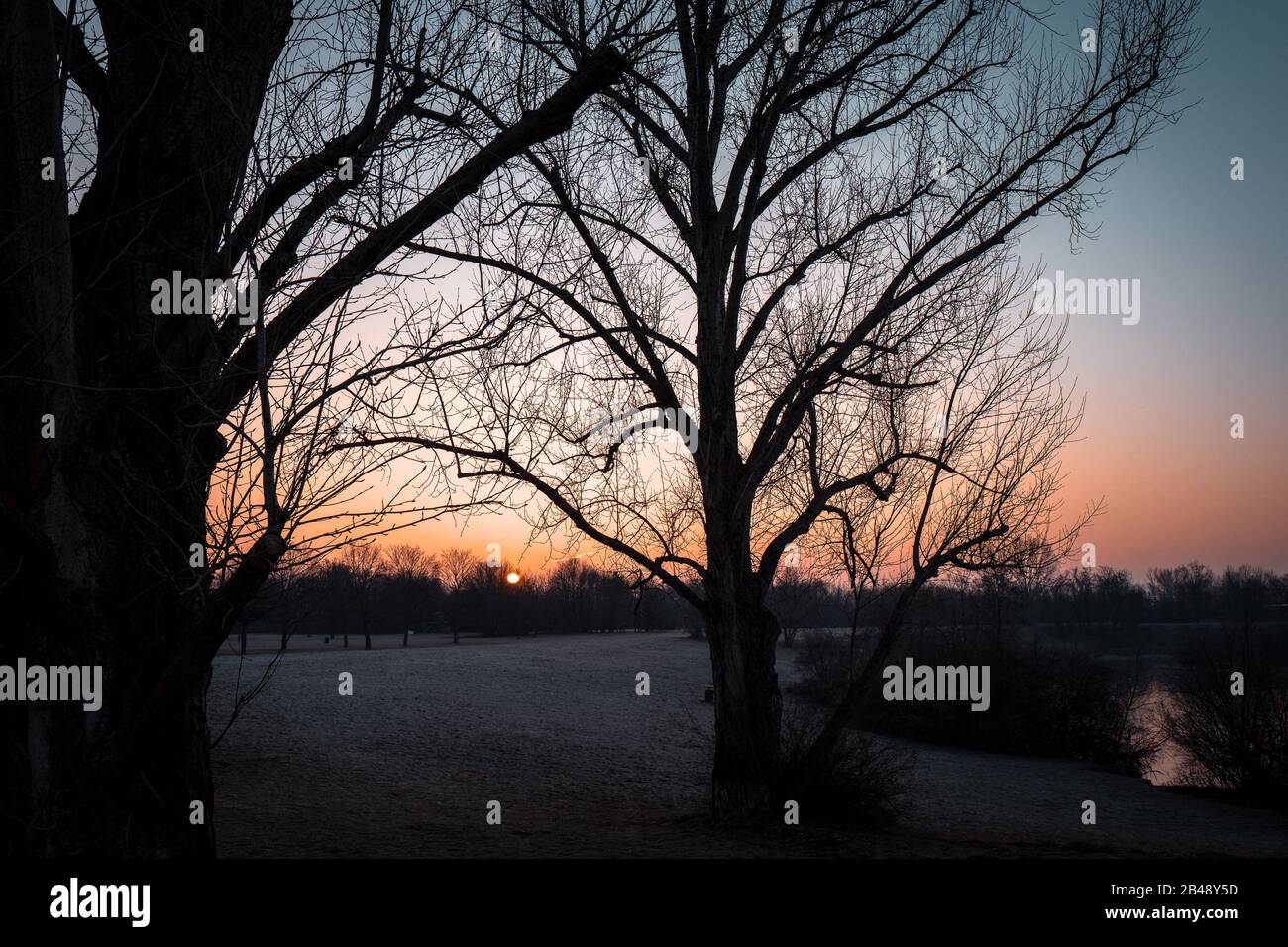 tree in beautiful sunrise Stock Photo - Alamy