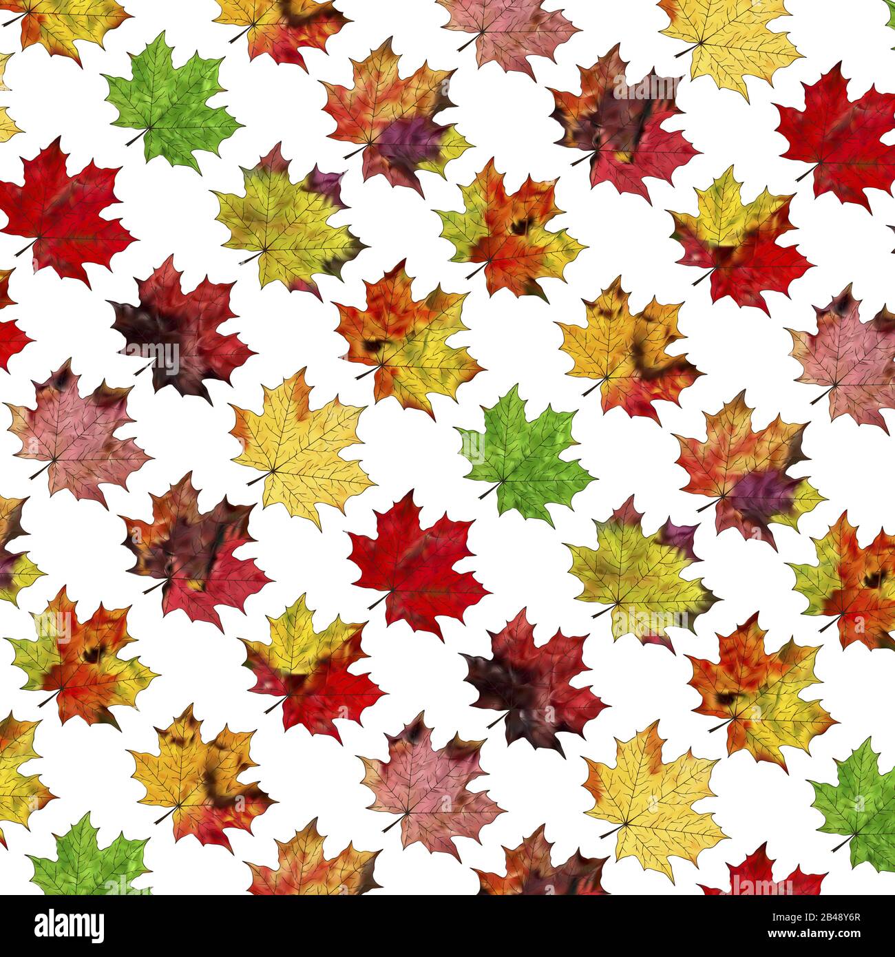 Beautiful red orange autumn foliage Stock Vector Images - Alamy