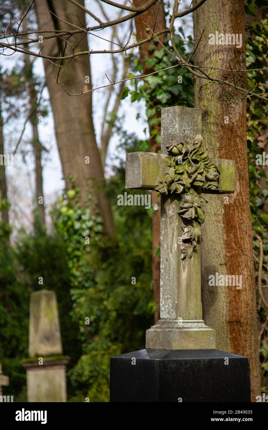 gravestones on a former cemetery with old trees in the background Stock ...