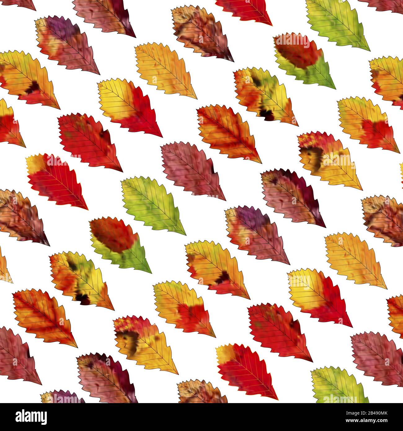 Yellow fall leaf brown Stock Vector Images - Alamy