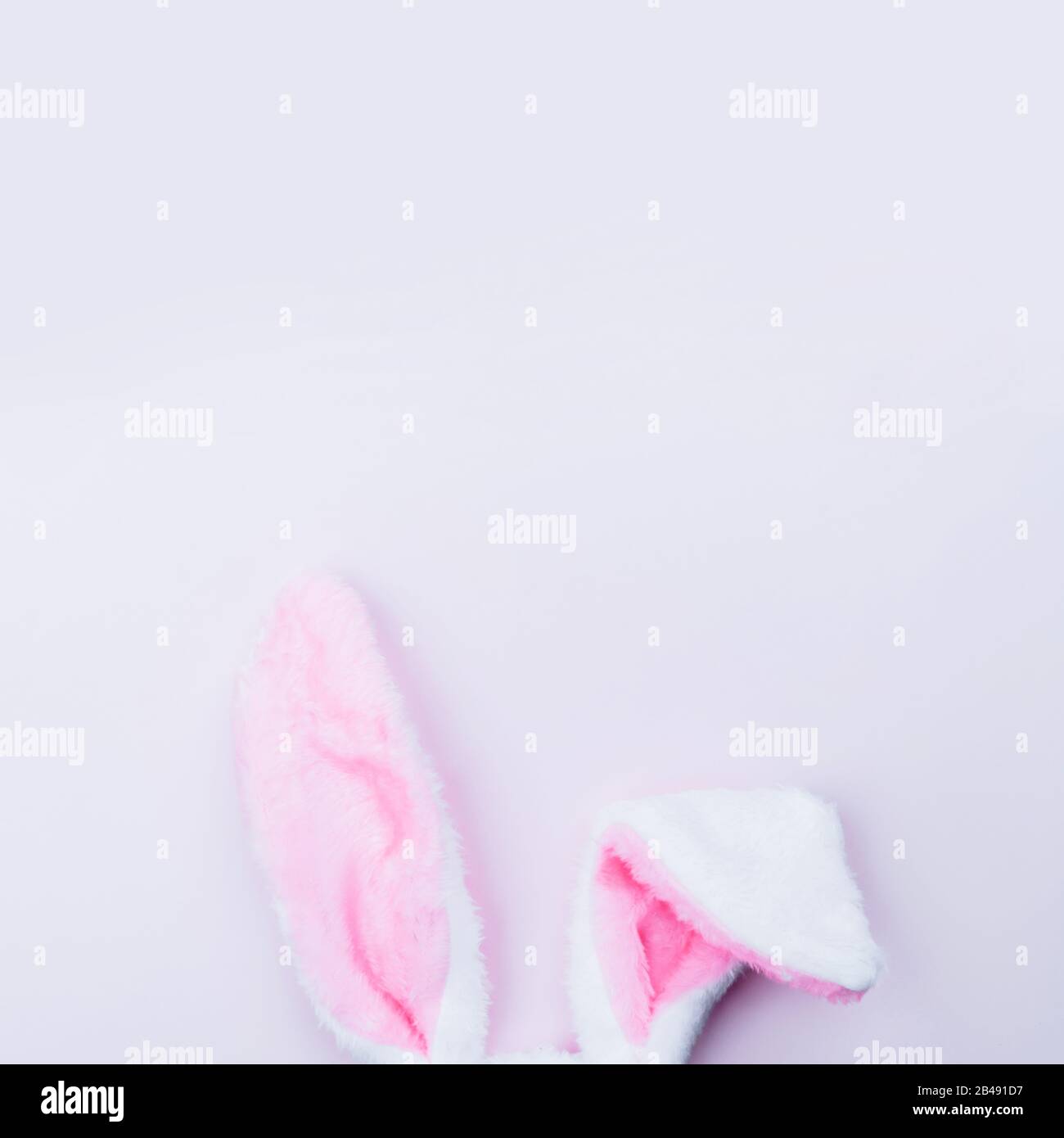 Fluffy rabbit ears on a soft pink background Stock Photo - Alamy