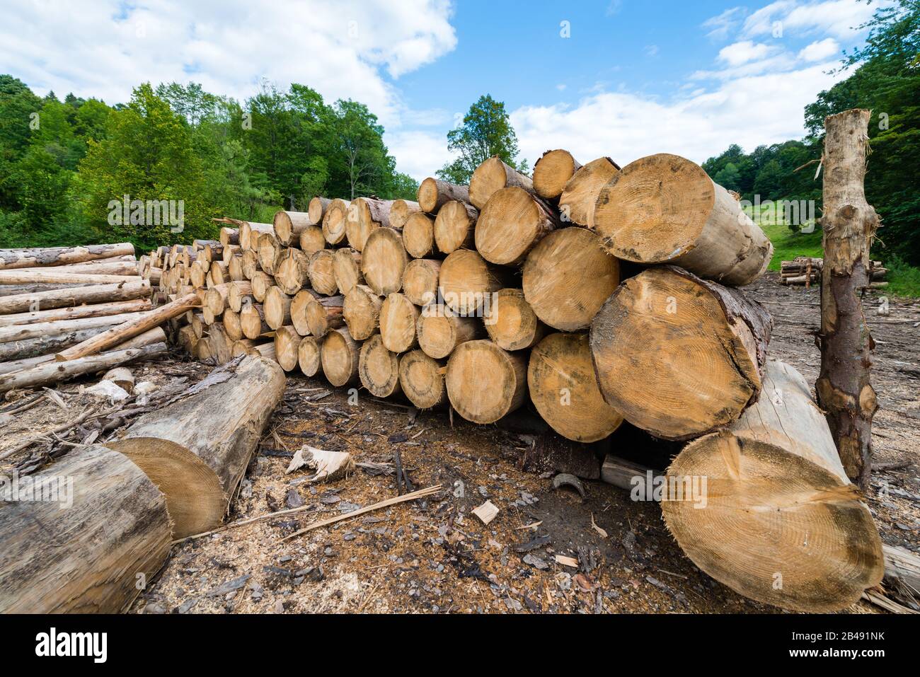 Log wood piles in industrial hi-res stock photography and images - Alamy