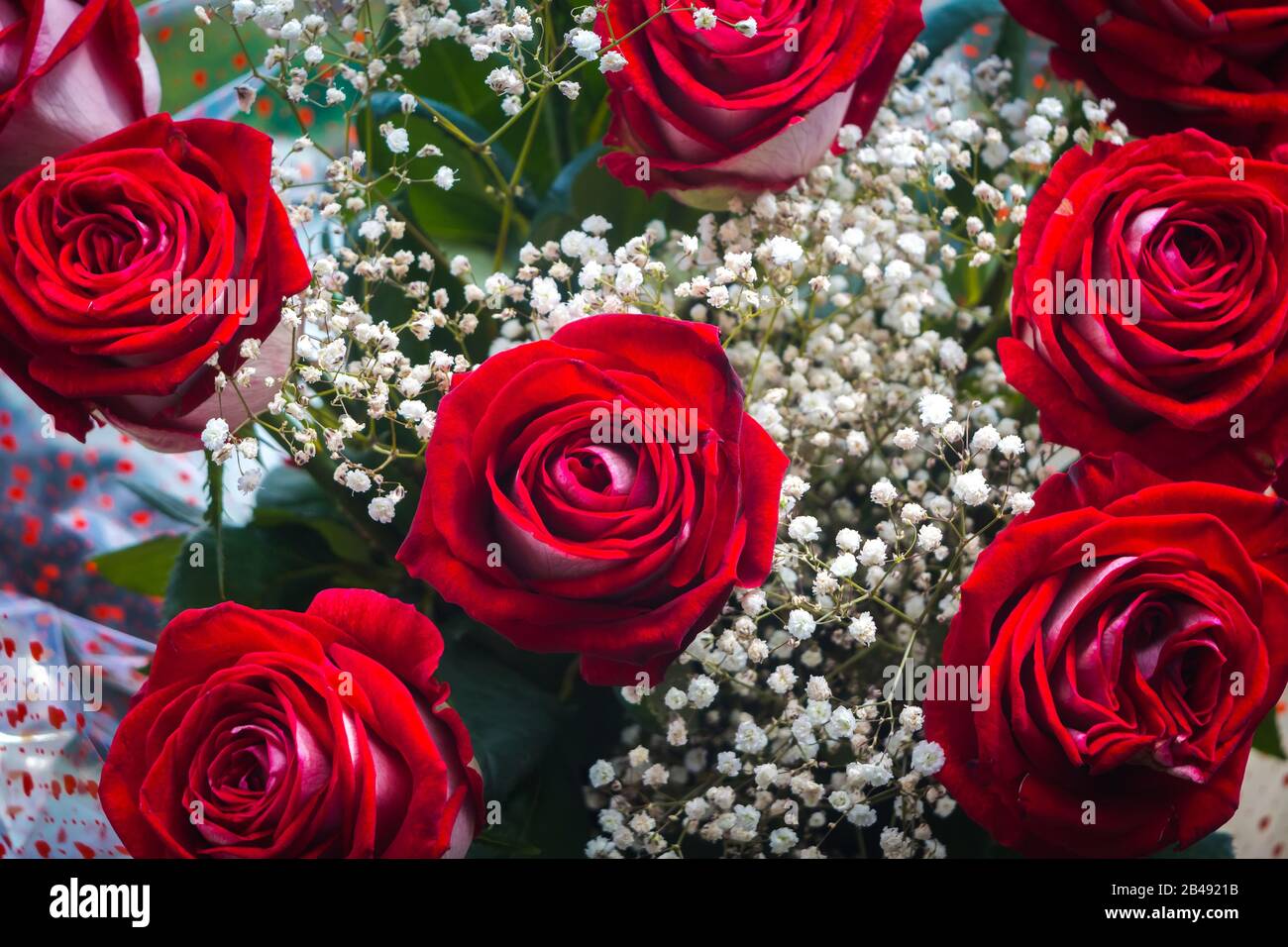 Decorative bouquet of bright red roses, anniversary background Stock ...
