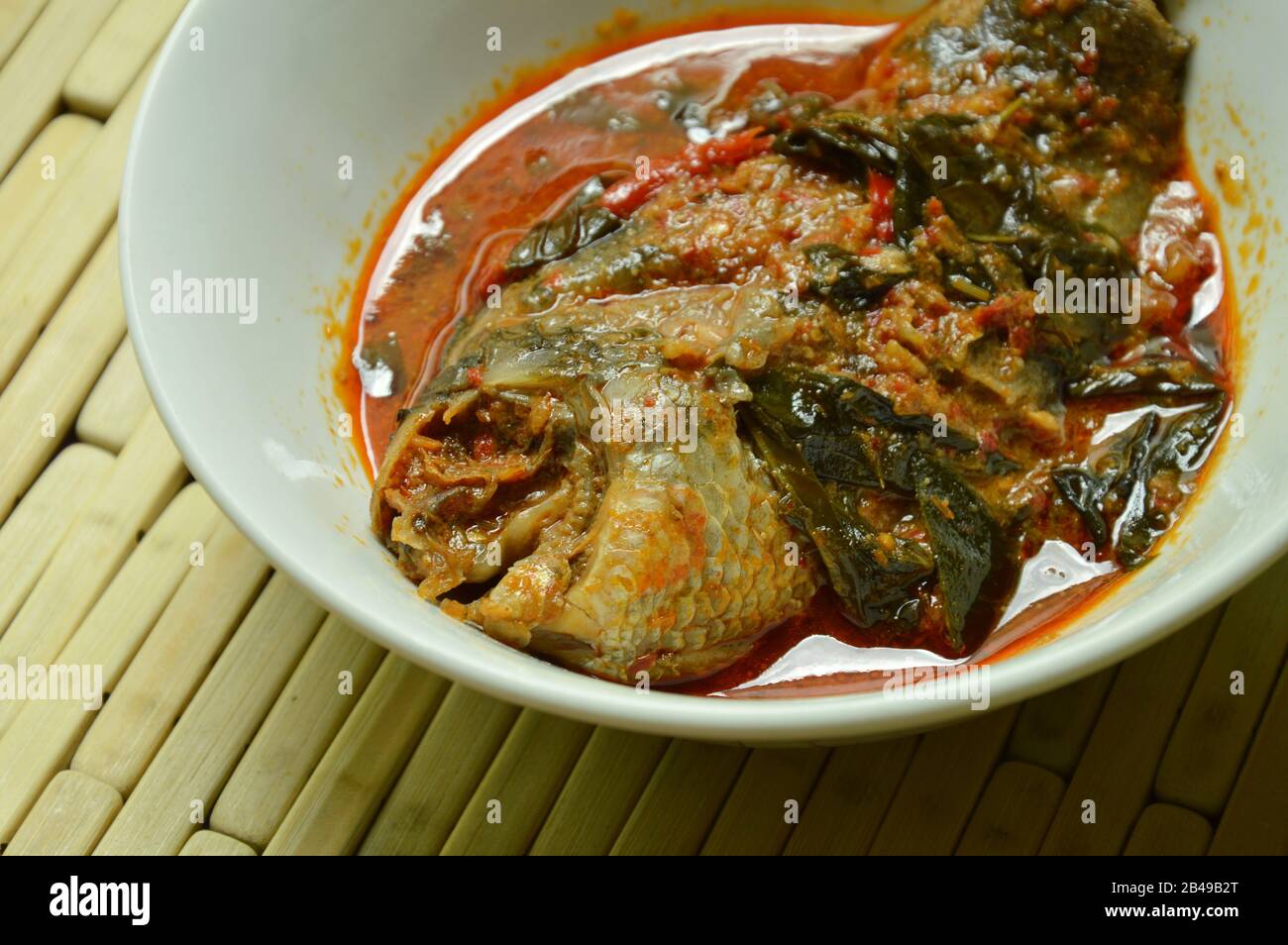 Climbing perch fish hi-res stock photography and images - Alamy