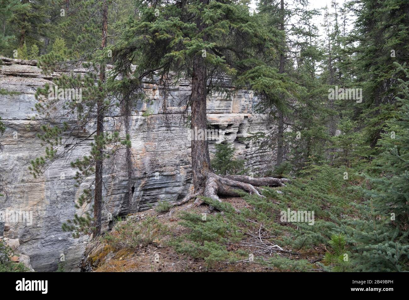 The Maligne river as it flows through the deep gorges of the Maligne ...